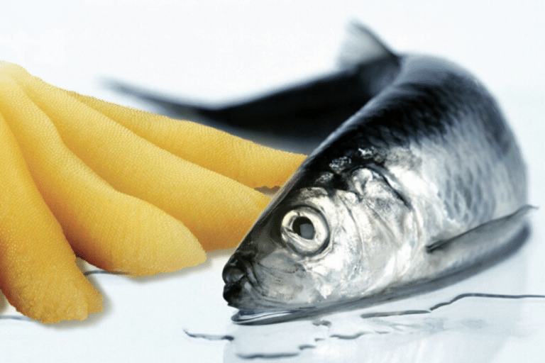 Arctic Bioscience - Norwegian herring caviar extracts