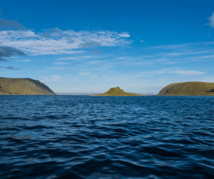 Technology Platform - Arctic Bioscience