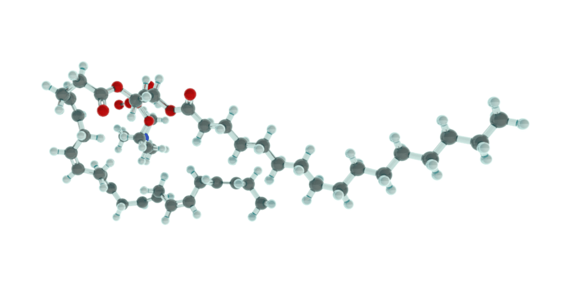 Drug Development Program - Arctic Bioscience